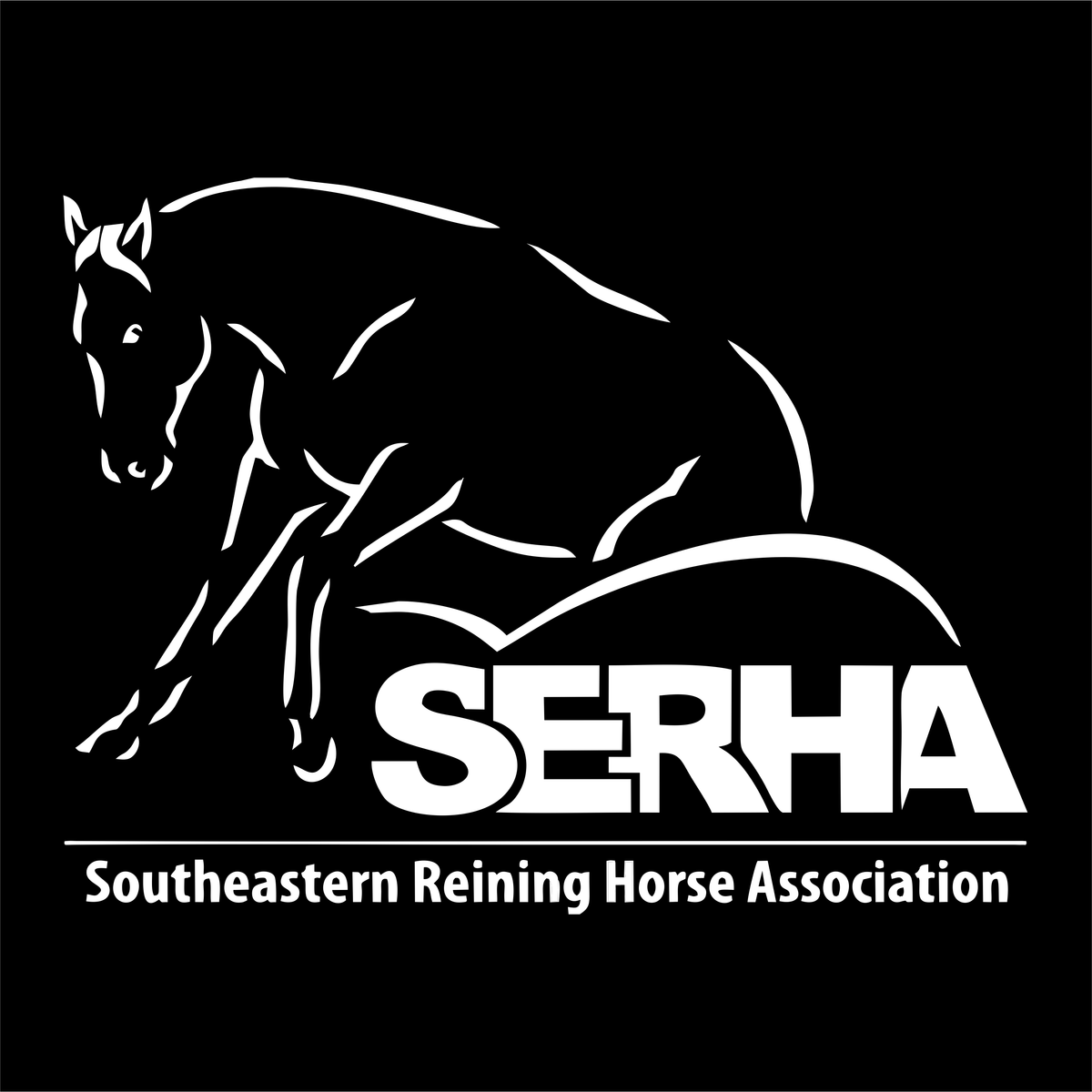 The Striped Tomato Custom Apparel | The Striped Tomato (formerly ...